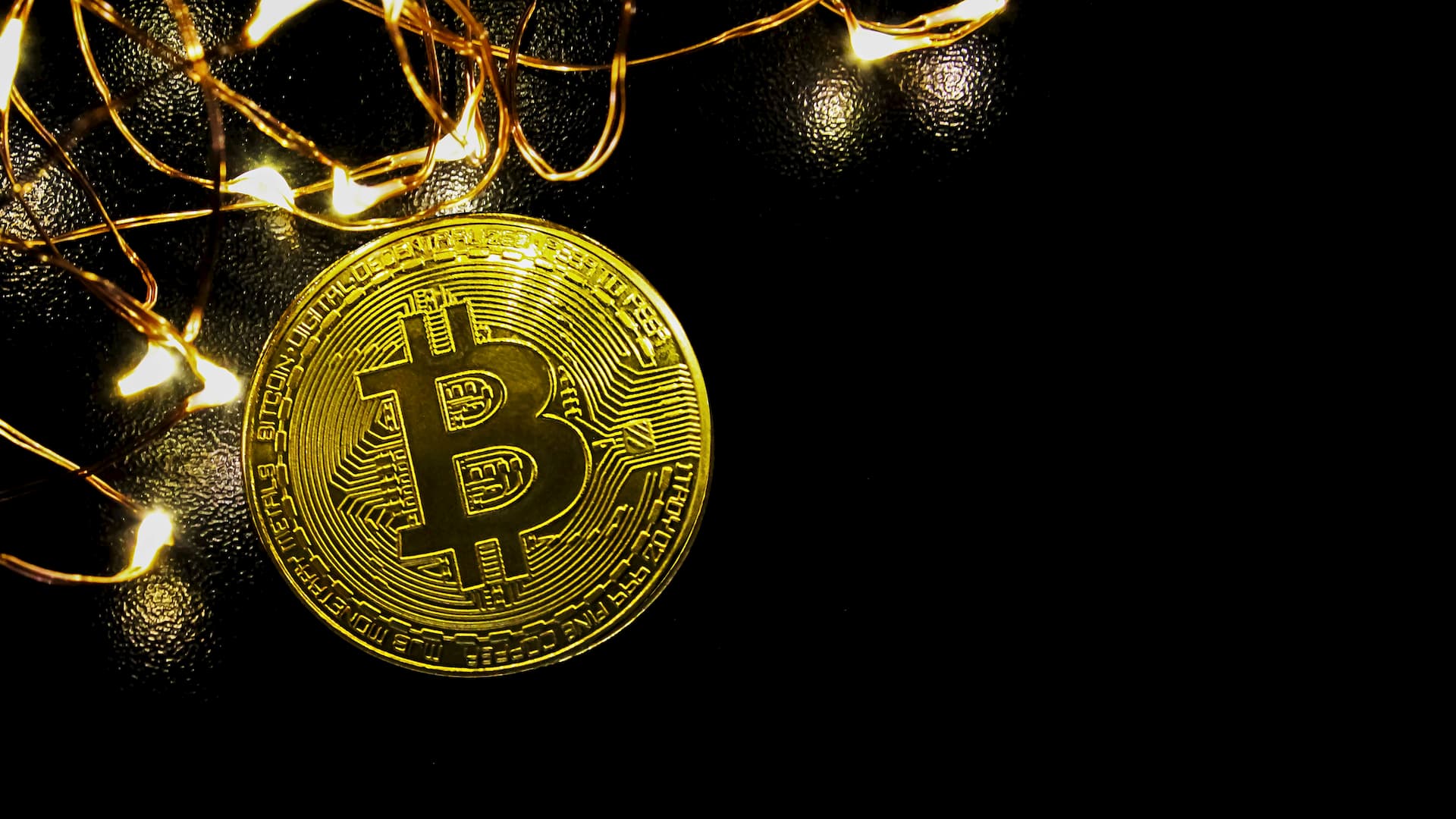 Survey report forecasts the rise of cryptocurrencies | Bitcoin.com.au